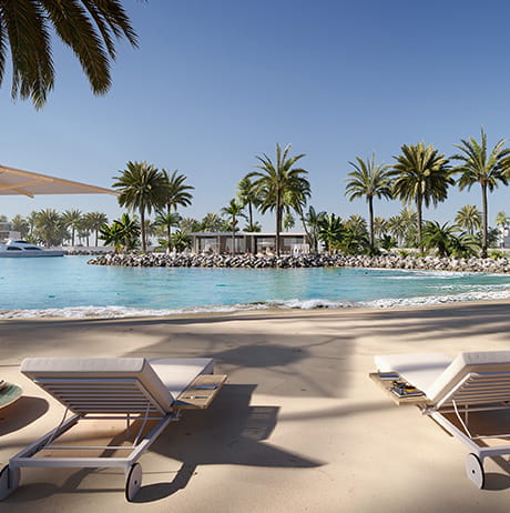 Explore the full gallery